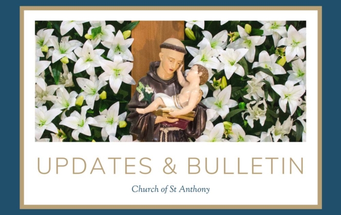 Home - Church of Saint Anthony
